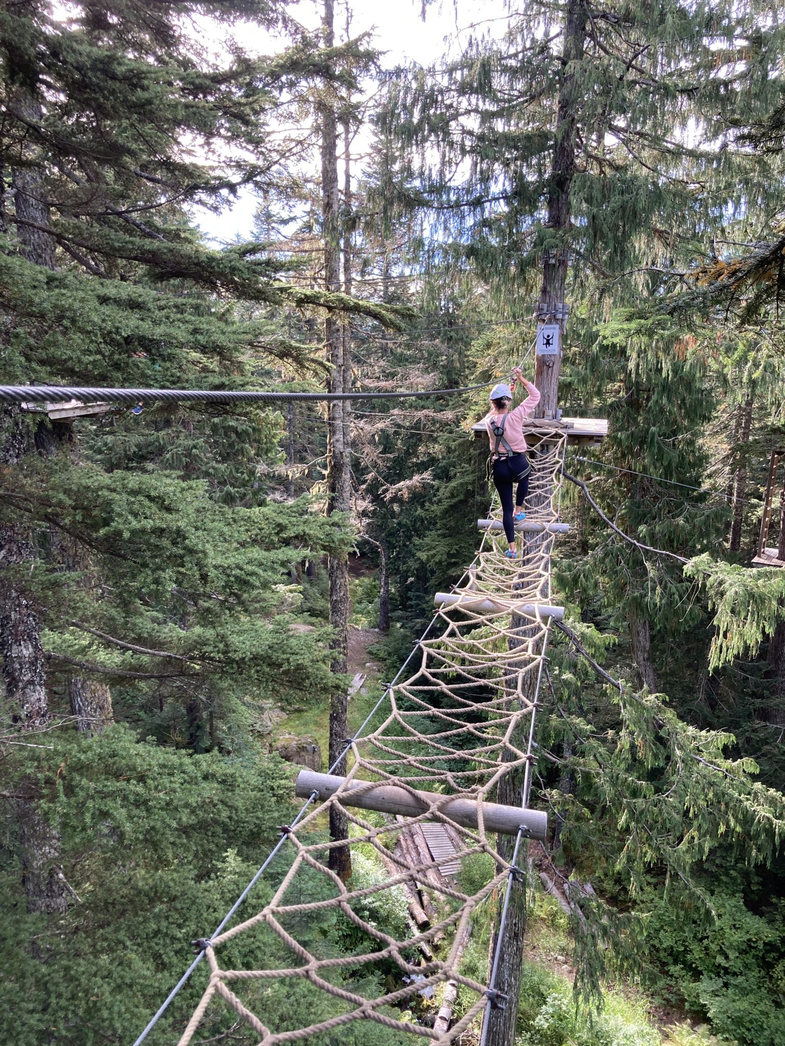 The Mountain Ropes Adventure on Grouse Mountain - Dennis Tsang